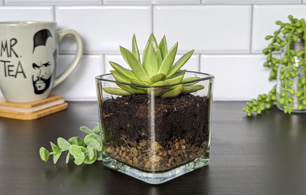 7 Simple Ways to Repurpose Your Candle Vessel – Ashberry Woods